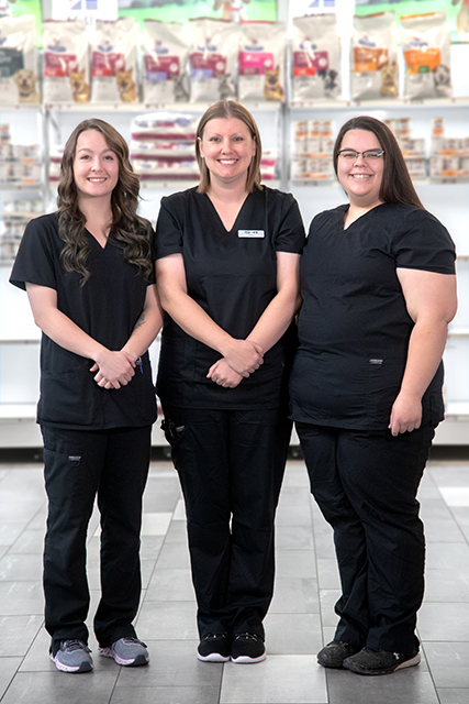 Meet Our Team – Imperial Animal Hospital – Imperial, MO