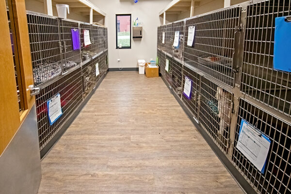 Pet Lodge – Imperial Animal Hospital – Imperial, MO