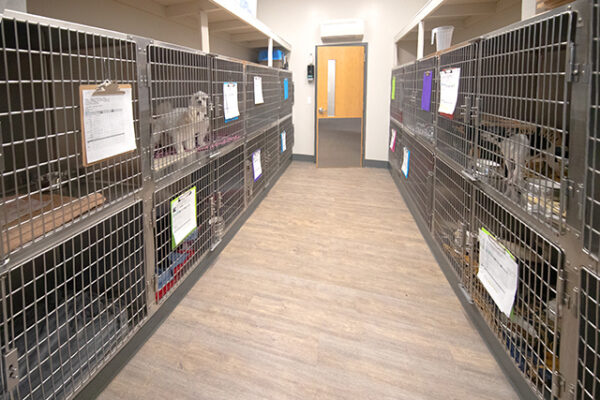 Pet Lodge – Imperial Animal Hospital – Imperial, MO