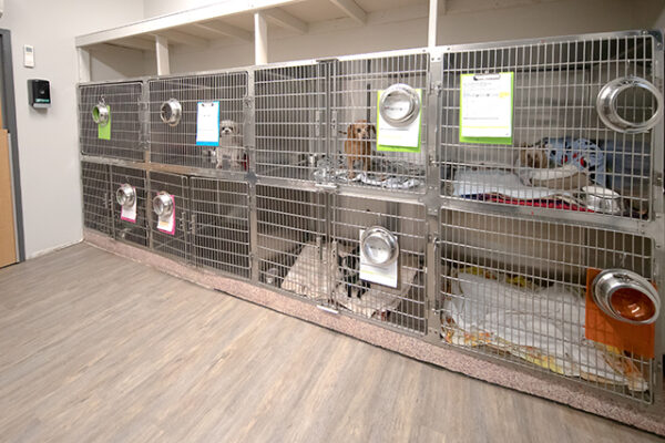 Pet Lodge – Imperial Animal Hospital – Imperial, MO